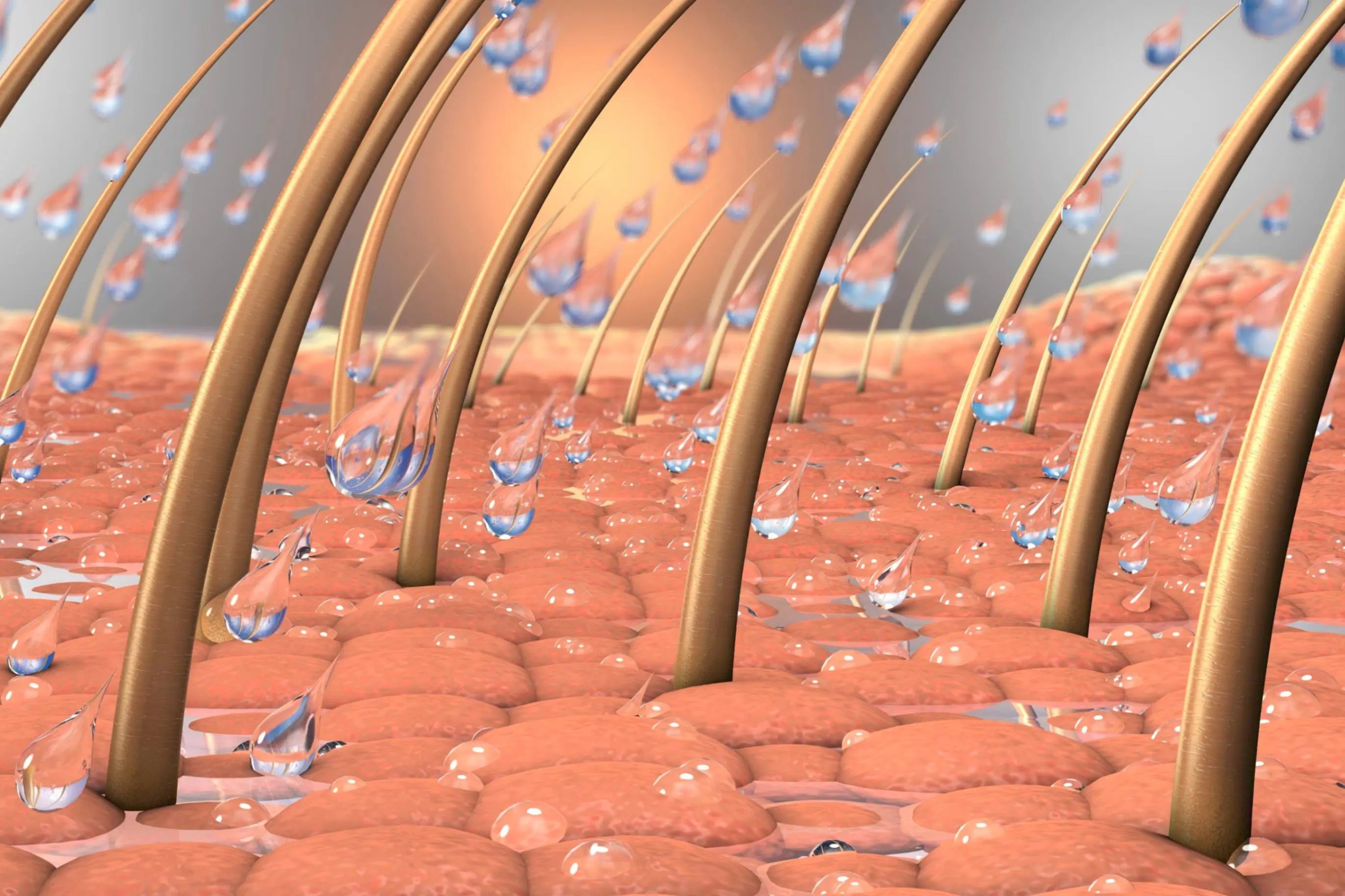 Understanding and Strengthening Your Skin Barrier – CUREZMA